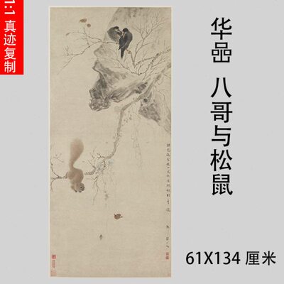 美术家与松鼠动物复制华八哥真迹清 国画利美国馆藏尔弗 名图嵒
