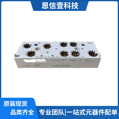 SKIIP系列电线扎带束线带