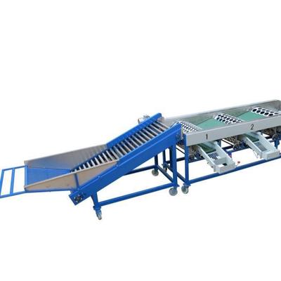 大蒜滚筒分选机独头蒜筛选分级机洋葱大小分拣厂家直销