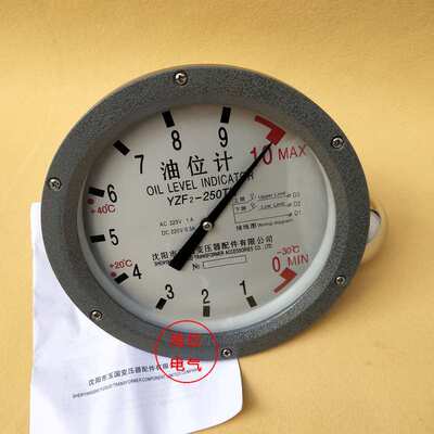 YZF-250TH油位计YZF1-250TH YZF2-250TH YZF3-250TH指针式油位计