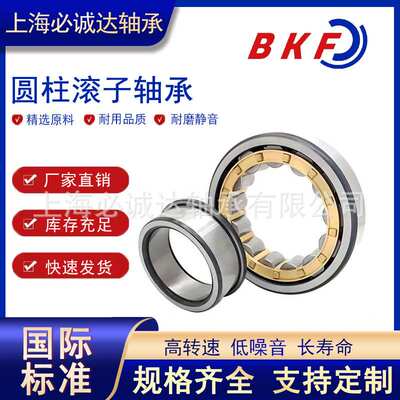 BKF圆柱滚子轴承N NJ NU NF NUP419 420 422 424 426 428 EM