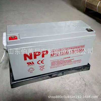 耐普蓄电池2V600AH NPP NP2-600船舶通讯机房光伏发电eps蓄电池组