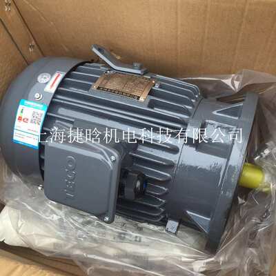 东元电机TEGH160L-4 20HP 15KW 4P AEEFF3 380V 卧式马达