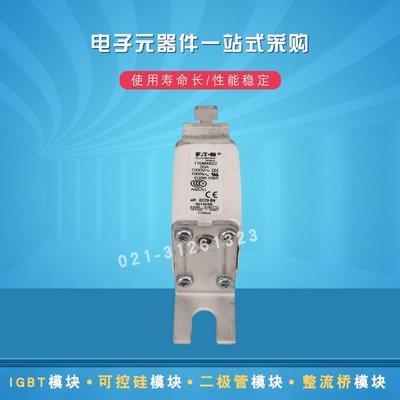 巴斯曼快速熔断器170M4822 4823 4824 4825 4826 4827 4828 4829