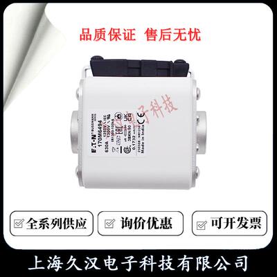 170M6494/6495/6496/6497/6498/6499BUSSMANN熔断器保险丝FUSE