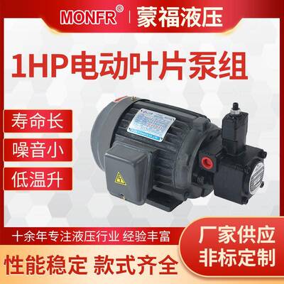ELITE电机泵1HP/0.75KW工业电机泵VP-20-FA3电动叶片泵
