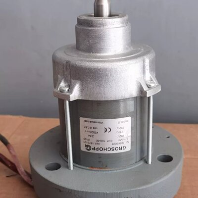 询价GROSCHOPP电机 型号ED1-100-00-80可维修