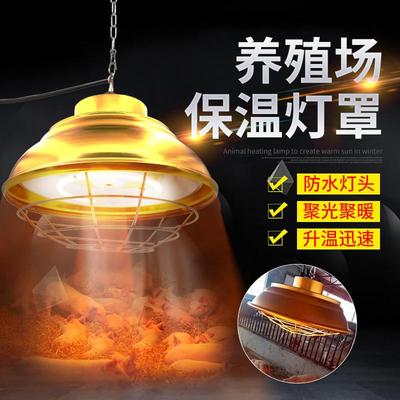 卤素保温灯鸡鸭仔猪取暖灯开关养殖场卤素可调温度育雏加热保温灯