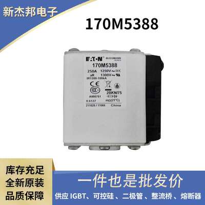 170M6910 170M6918 170M6919 170M6920进口低压熔断器 保险丝