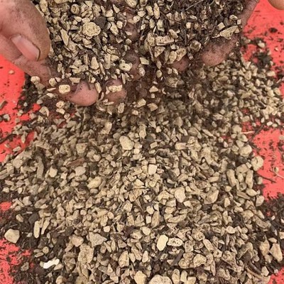 混合颗粒土翻盆换土用风化石配干松针腐叶3.85斤小包 买10包送6包