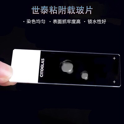 CITOGLAS世泰 超白玻璃 粘附载玻片正电荷防脱 188105W 50片/盒