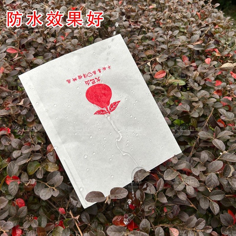 柑橘套袋橘子果袋丑橘橙子耙柑耙春见不知52火款脐橙石榴水果防虫