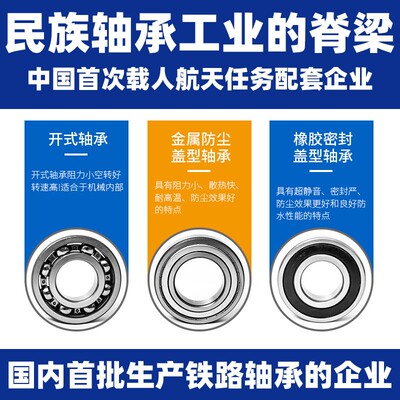 LYC 洛阳轴承集团 6221 6222 6224 6226 6228 6230 6232 E 2Z 2RZ