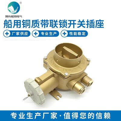 带锁开关插座船用铜质带联锁开关插座CZKLS2-2D2现货