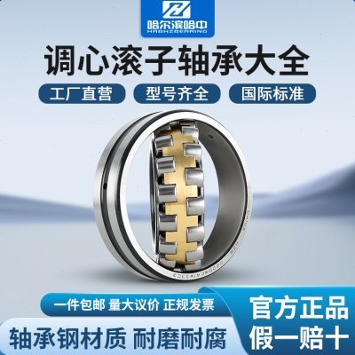 调心滚子轴承22205 22206 22207 22208 22209 22210 22211CA/W33