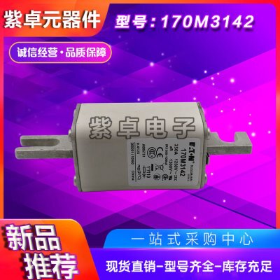 170M3169 170M3170 170M3171 170M3172 170M3173伊顿巴斯曼保险丝