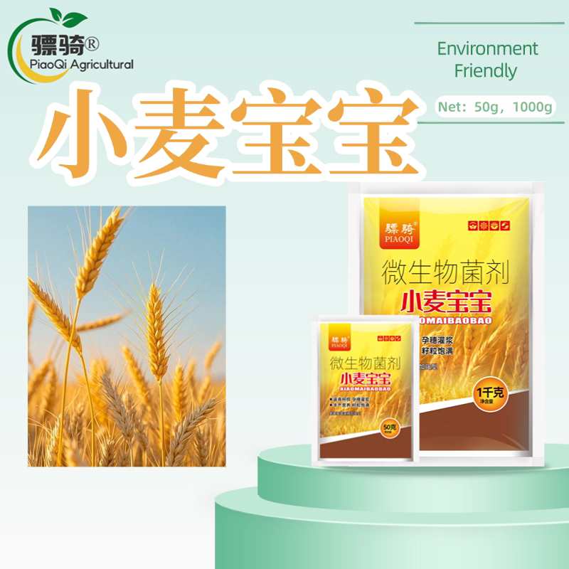 小麦宝宝小麦种植专用穗大粒饱生根壮苗叶面水溶植物肥