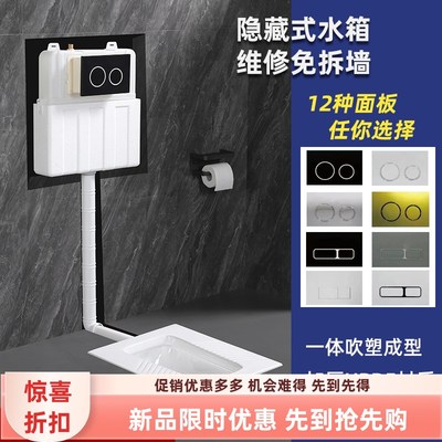 隐藏式冲水箱家用嵌入式厕所蹲便器马桶蹲坑暗藏暗装隐形蹲厕