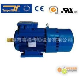 原装进口Temporiti刹车电机马达REBM90L4/1.5KW陶瓷专用刹车电机