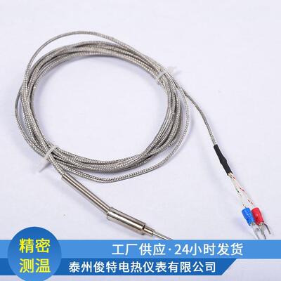 俊特热电偶铠装热电偶极细热电偶WRNK-191