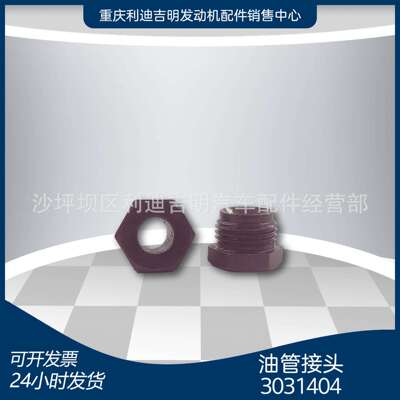 重庆接K19K38K50NT855柴油发动机配件现货3031404油管接头