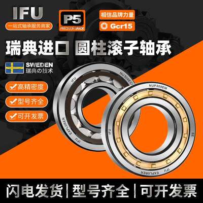 IFU圆柱滚子轴承 NJ207 NU207 NUP207 N207 RN207 ECM ECP EM EW