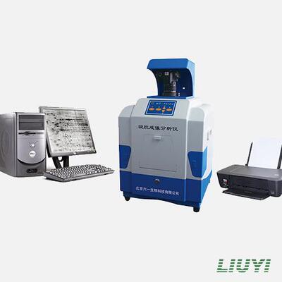 凝胶成像分析系统WD-9413A型北京六一电泳观察拍照实验结果分析