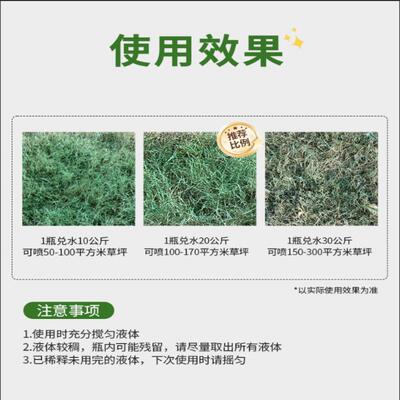 德沃多草坪增化绿剂绿草皮植草物TQL染程色剂婚礼地毯皮工一喷绿