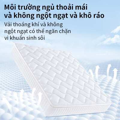 Gi??ng n?m  Latex mattress with springs 酒店乳胶弹簧床垫