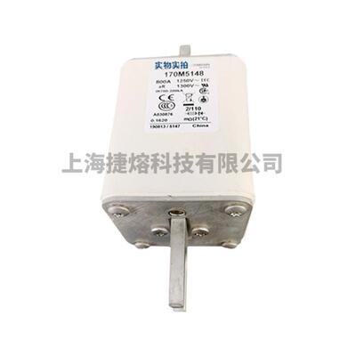 170M5146 170M5147 170M5148 低压快速熔断器现货包邮量大优惠