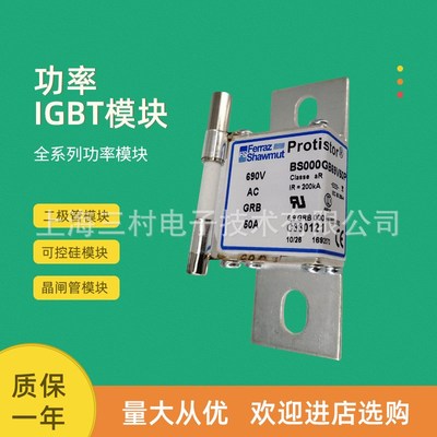 熔断器保险丝X081003/BS36UG25V150P W081002/BS36UG25V200P