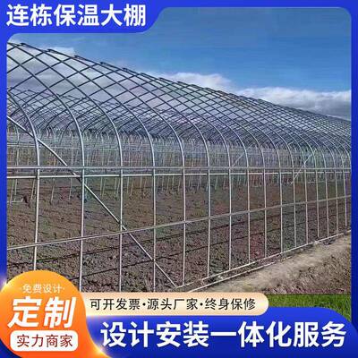 室大棚搭建采光好建设蔬菜花卉育苗UKF棚现代农业连栋薄温膜快温