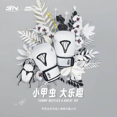 BN拳击手套泰拳男女搏击拳套成人10OZ12OZ散打训练专业沙袋专用