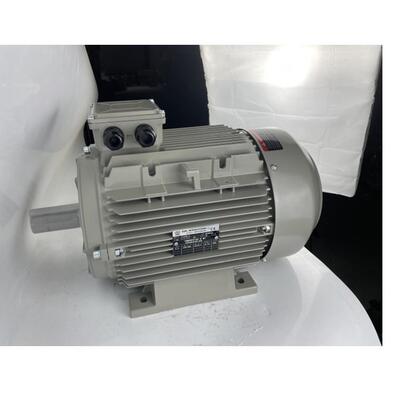 意大利ADDA电机三相异步电机motorFCP315M-6B35160KW