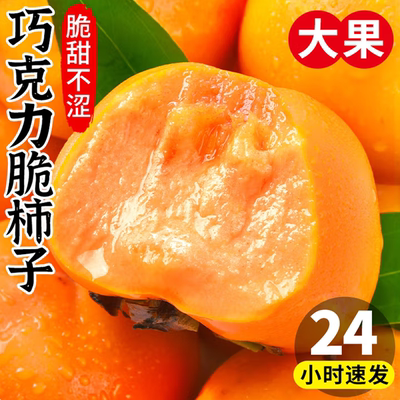 广西正宗巧克力脆柿子9斤大甜柿