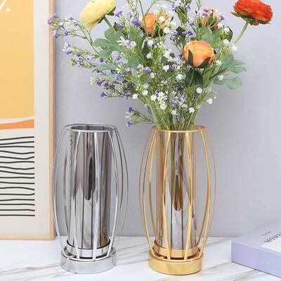 ins铁艺试管水绿创x86意花新瓶桌面简约清培摆件室内绿植萝鲜花