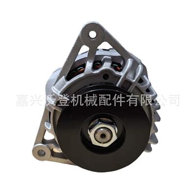 12V65A发电机10000-18159/10000-42440/915-730用于威尔逊