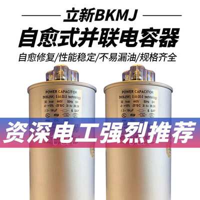 宁波立新电力电容器圆柱BKMJ0.48-30-3 MKPG0.44-30-3 LXBKMJ0.48