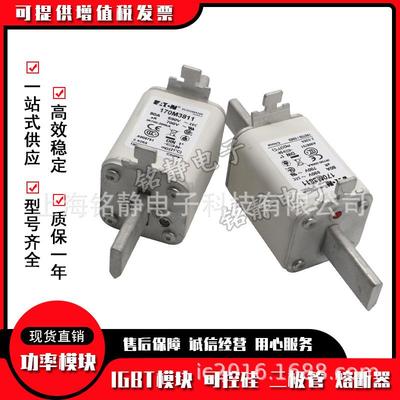 17079M35694170M36170M369170M36946170M369巴斯曼熔断器现货