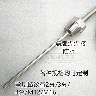 双支PT100铂热电阻WZP2-291 进口贺利式 固定螺纹式热电阻传感器