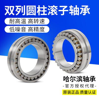 厂家mHRB哈尔滨轴承N3007K/840P5/P4W3机床主轴35*62*N320m哈轴精