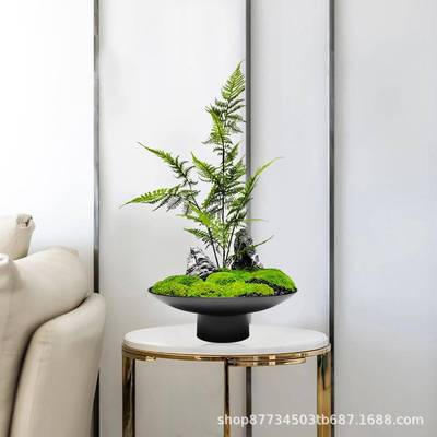 中式铁艺花仿真文竹永青苔装盆栽书房茶室器微HBZ景观玄生关柜软