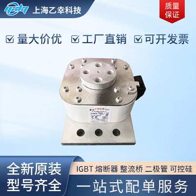 巴斯曼熔断器  170M7569 170M7580 170M7592 170M7595 170M7597