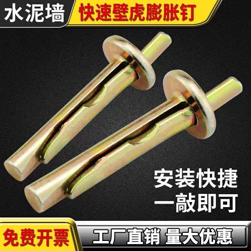 整箱插片壁虎水泥墙快速打入式膨胀螺丝敲击式膨胀壁虎钉6mm锤击