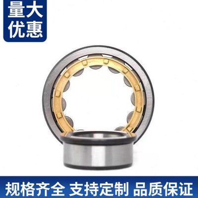 圆柱滚子轴承N1004 1005 1006 1007 1008 1009 1010 1011 1012 EM