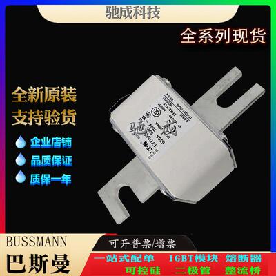 巴斯曼170M6760 170M6761 170M6762 厂家直供量大价优 方体熔断器