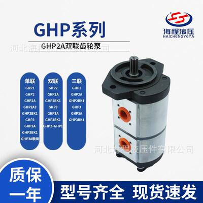 GHP2A双联泵意大利马祖奇MARZOCCHI单联双联可选排量6-30液压泵