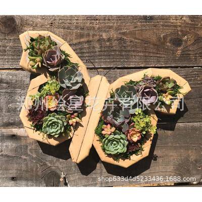 Animal Succulent Garden Arrangement花园装饰木制多肉花盆