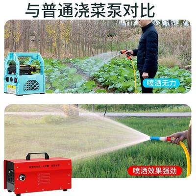 电式水农用抽水机农田泵42460灌溉户外充淋菜菜农村园浇菜浇水机