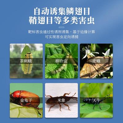 智能监虫情性诱测仪昆虫性灯诱测报性诱拍照高精测报报害虫自动性